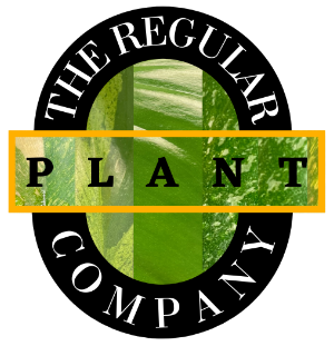The Crew The Regular Plant Co. - The Regular Plant Co.